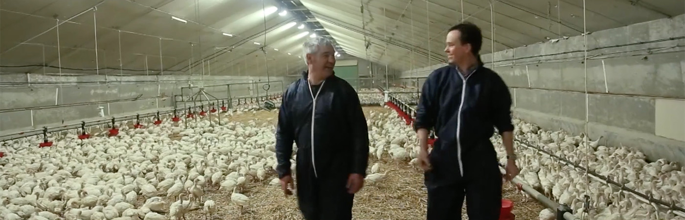 Emploi LDC - Assistant(e) qualité élevage H/F CDI